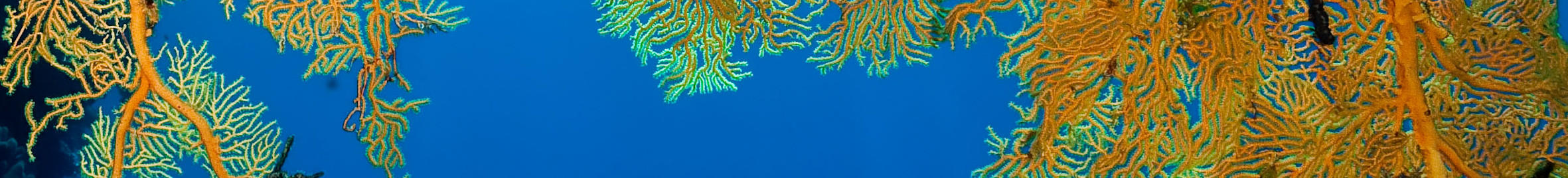 eReefs Acknowledgements - eReefs