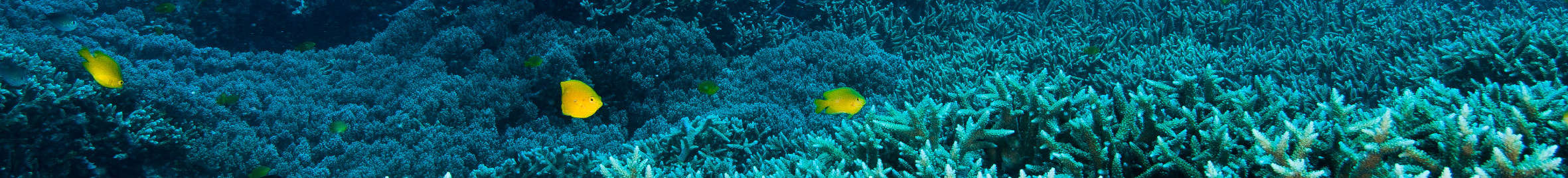 GBRMPA Reef Snapshot Reports - eReefs